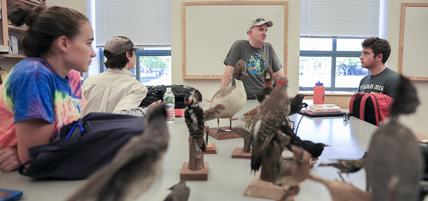 Colleges Expand Range of FSEM Offerings