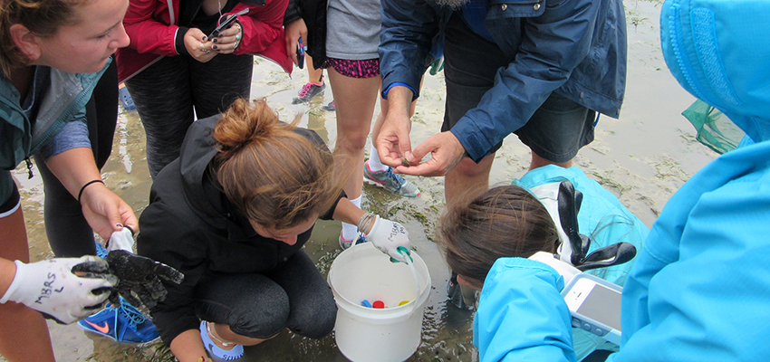 Students Gain Cultural and Field Research Experience in Queensland