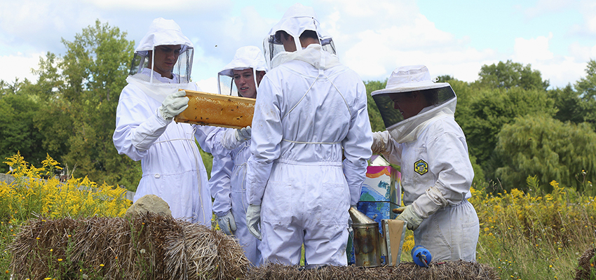 HWS Offers a Series of Farm Programs